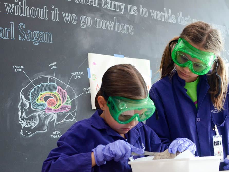 The STEM Zombie Apocalypse – The Laboratory Collective